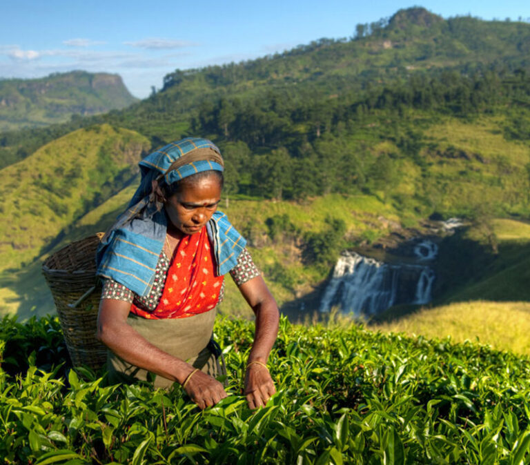 Responsible Sourcing Tool » Is Forced Labor Hidden in Your Global ...